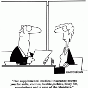 Health Insurance / HMO - Glasbergen Cartoon Service